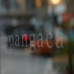 Pangaea Restaurant Toronto - Toronto City Gossip - Toronto City Gossip